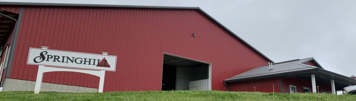 Team – Welcome to Springhill Dairy